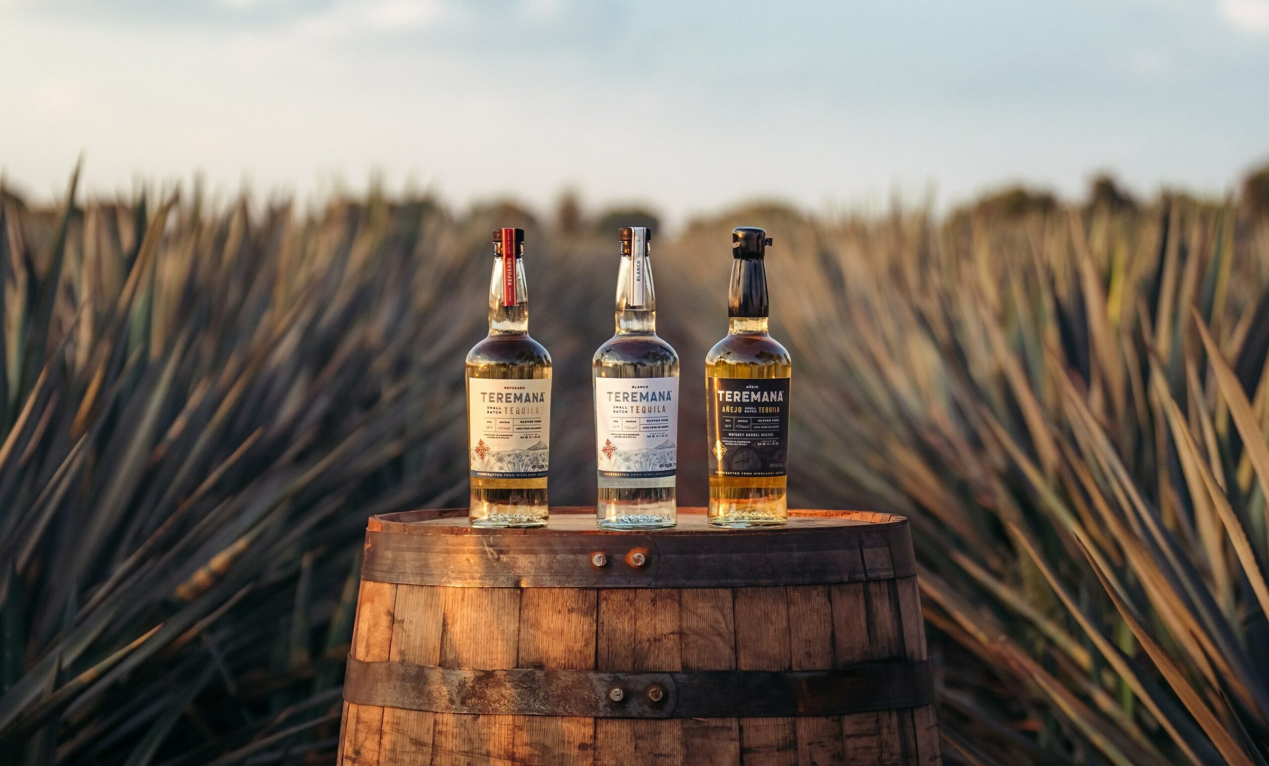 Dwayne “The Rock” Johnson’s Teremana Tequila Expands Global Footprint ...